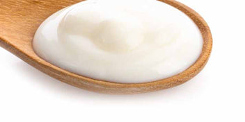 Women's Probiotic | PMS & Vaginal Support – Wink Well